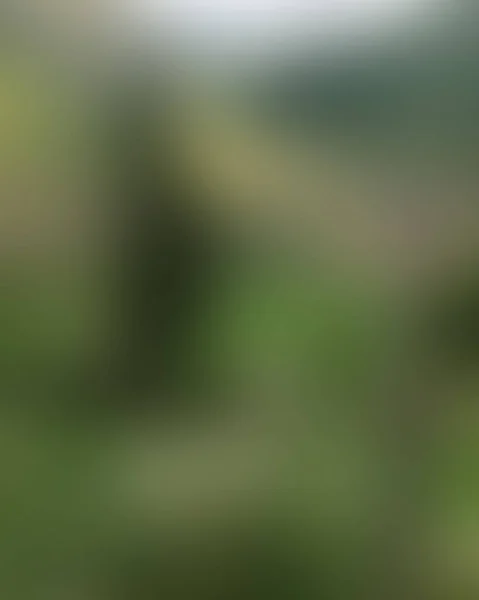 Blurry farm background Stock Photos, Royalty Free Blurry farm ...