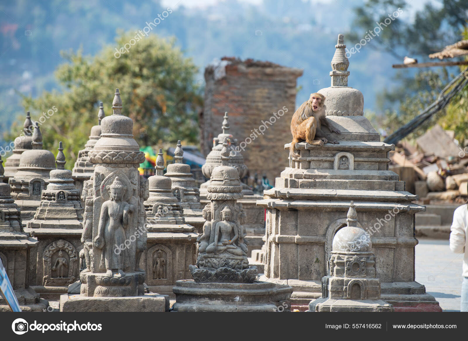 Kathmandu Nepal April 2019 Buddhist Swayambhunath Temple Monkey Temple ...