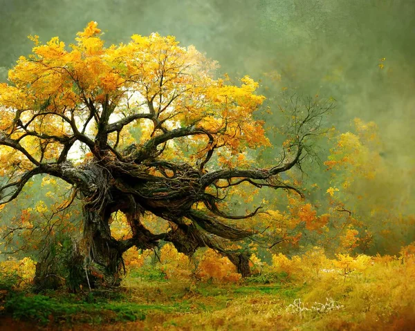 Beautiful old autumn tree Stock Photos, Royalty Free Beautiful old ...