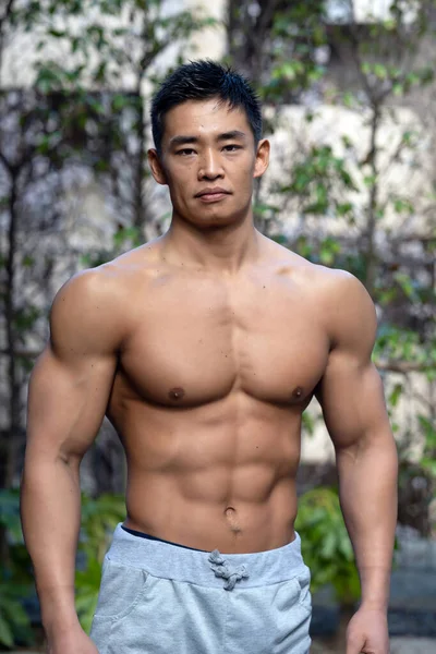 Asian bodybuilder Stock Photos, Royalty Free Asian bodybuilder Images ...