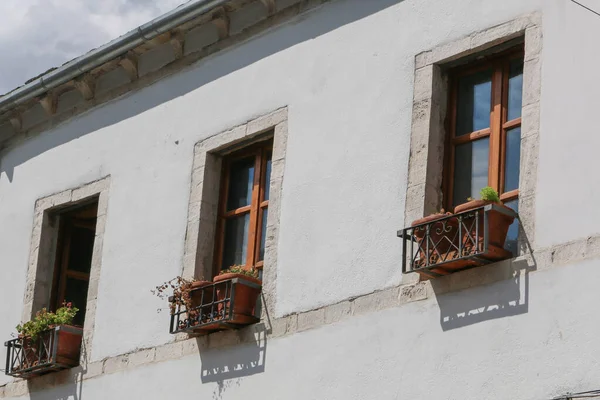 classic and beautiful wooden grid windows with flower pots and flowers ...