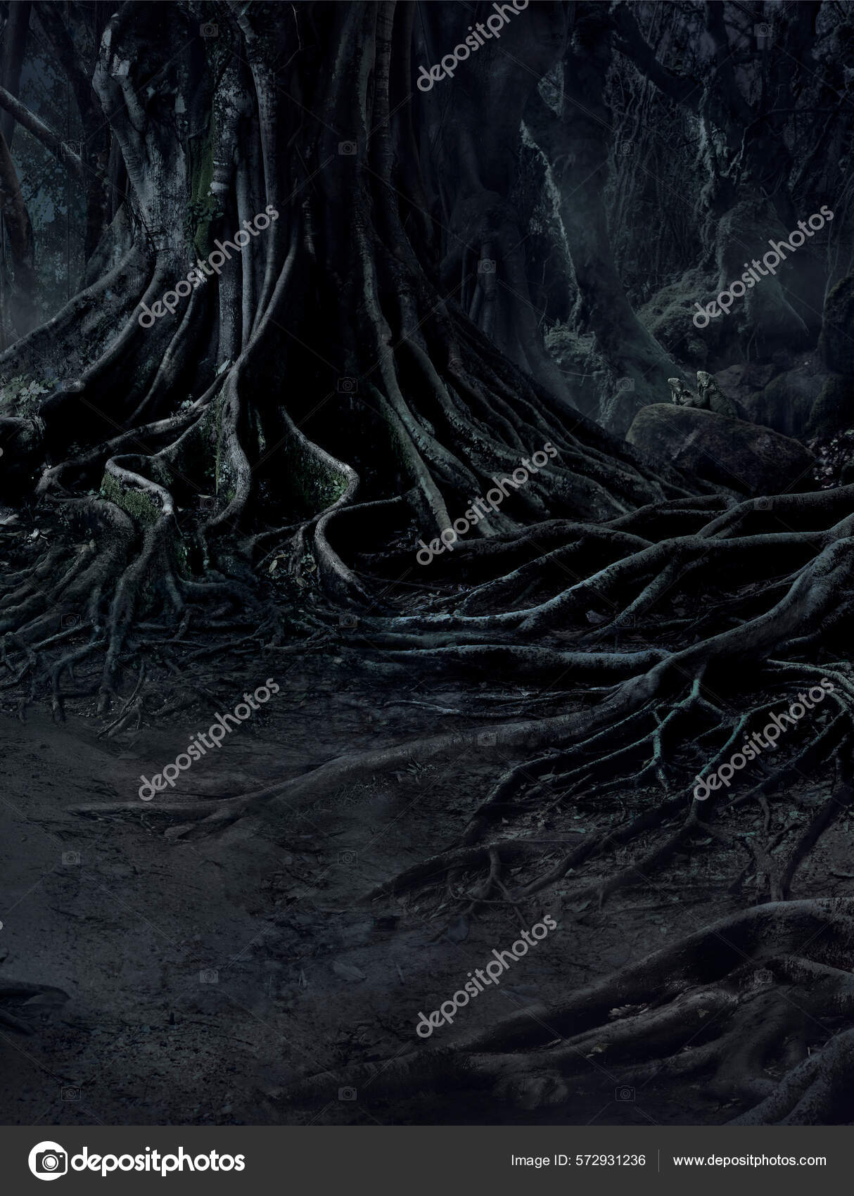 Creepy Trees Twisted Roots Two Lizard Misty Night Forest Scary Stock ...