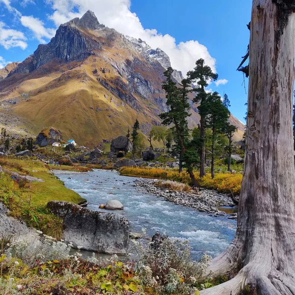 Sunwapta valley Stock Photos, Royalty Free Sunwapta valley Images ...