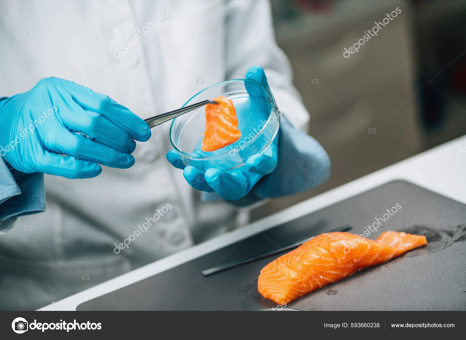 Food Safety Quality Control Microbiological Analysis Salmon Fish ...