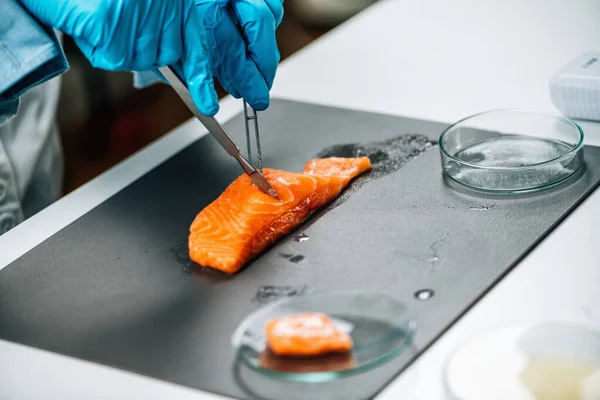 Fish Quality Control Food Safety Inspector Searching Presence Heavy ...