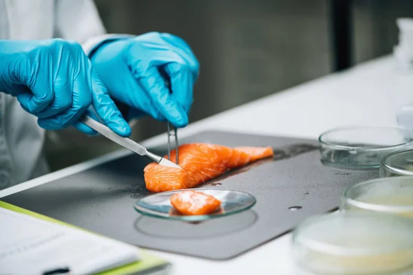 Food Safety Quality Control Microbiological Analysis Salmon Fish ...