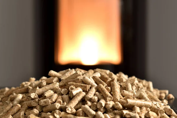 Modern domestic pellet stove, granules stove with flames - Stock Image ...
