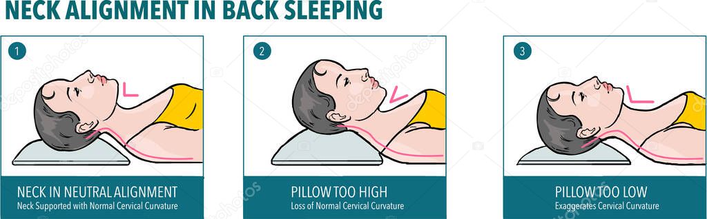 Normal night Vector Art Stock Images | Depositphotos