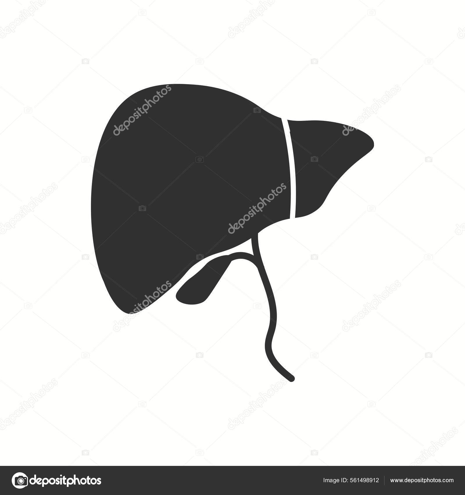 Human liver icon in black style isolated on white background Stock ...