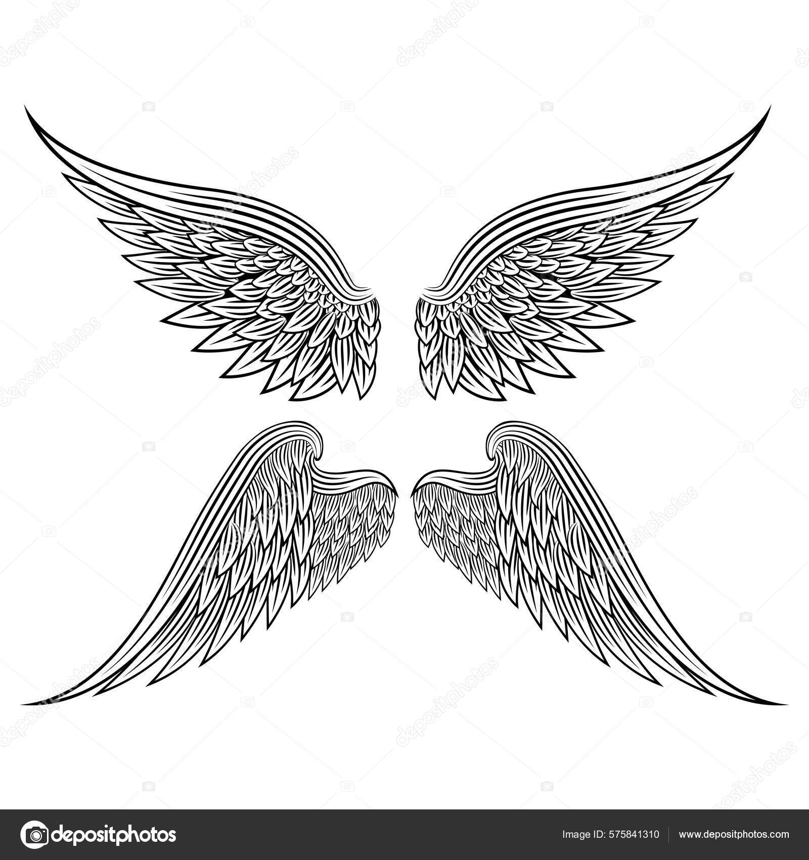 Image vectorielle Une Collection Dessins Vectoriels Thème Ailes par ...