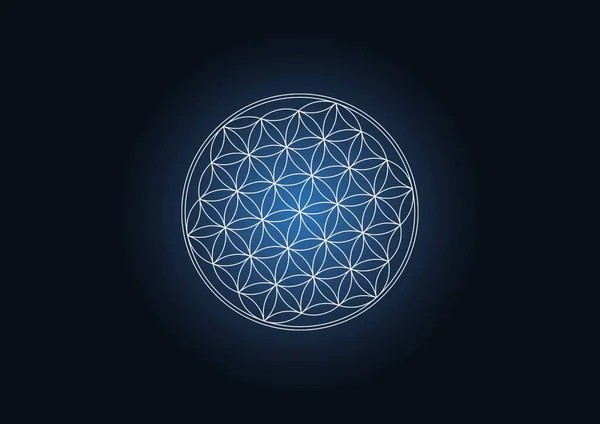 Flower Of Life Illustration, Ancient Symbol, Mandala, Ancient Geometry ...
