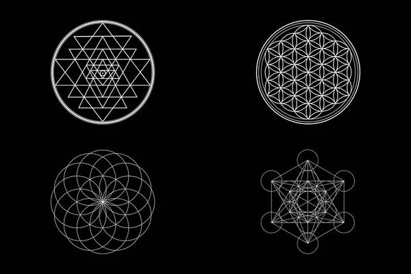 Flower Of Life Torus | Best Flower Site