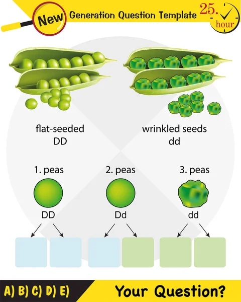 Biology Heredity Combination Mendelian Genetics Heredity Peas ...