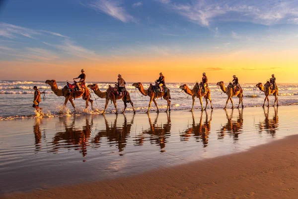 Laura_Chaffey Portfolio: Stock Photos, Vectors, Video, Audio ...