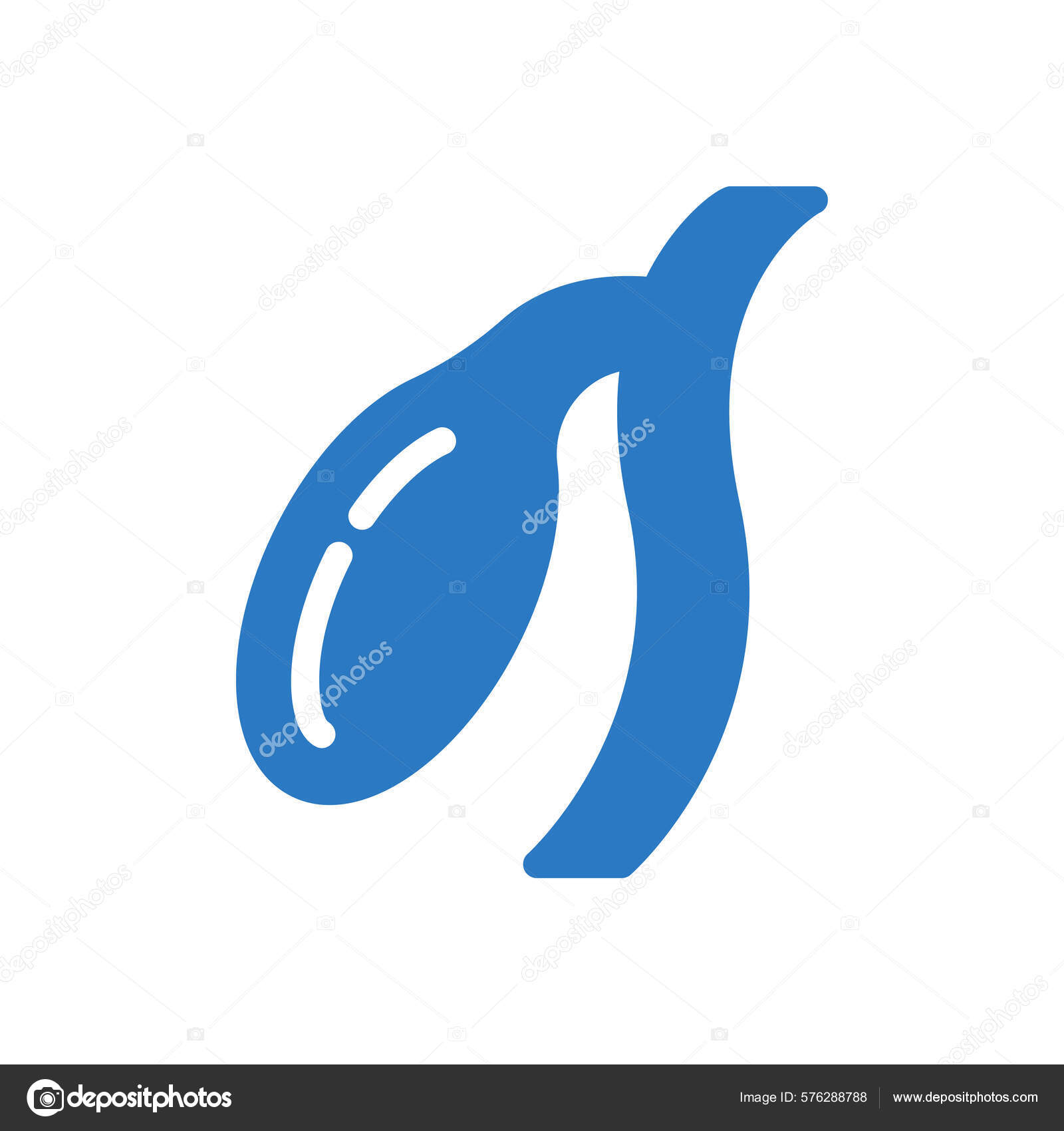 Testes Vector Illustration Transparent Background Premium Quality ...