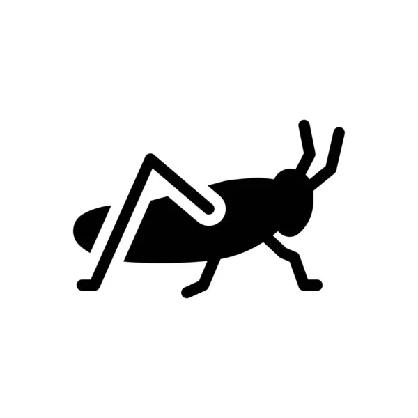 Cockroach Vector Illustration Transparent Background Premium Quality ...