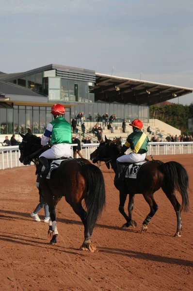 Cheltenham racecourse Stock Photos, Royalty Free Cheltenham racecourse ...