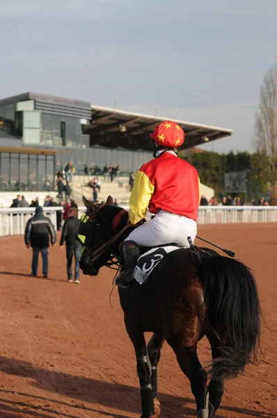 Cheltenham racecourse Stock Photos, Royalty Free Cheltenham racecourse ...