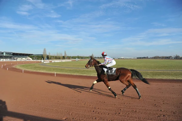 Gleneagles Stock Photos, Royalty Free Gleneagles Images | Depositphotos