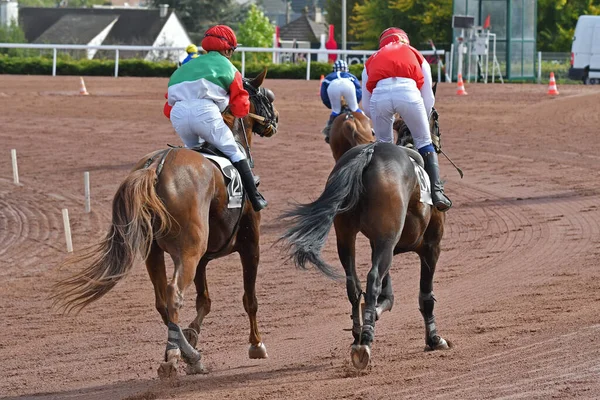 French horse racing Stock Photos, Royalty Free French horse racing ...