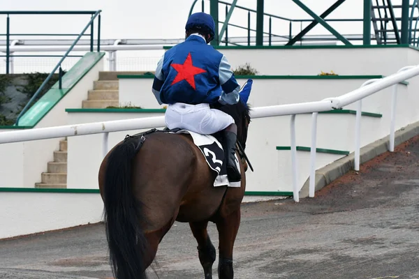 Cheltenham festival Stock Photos, Royalty Free Cheltenham festival ...