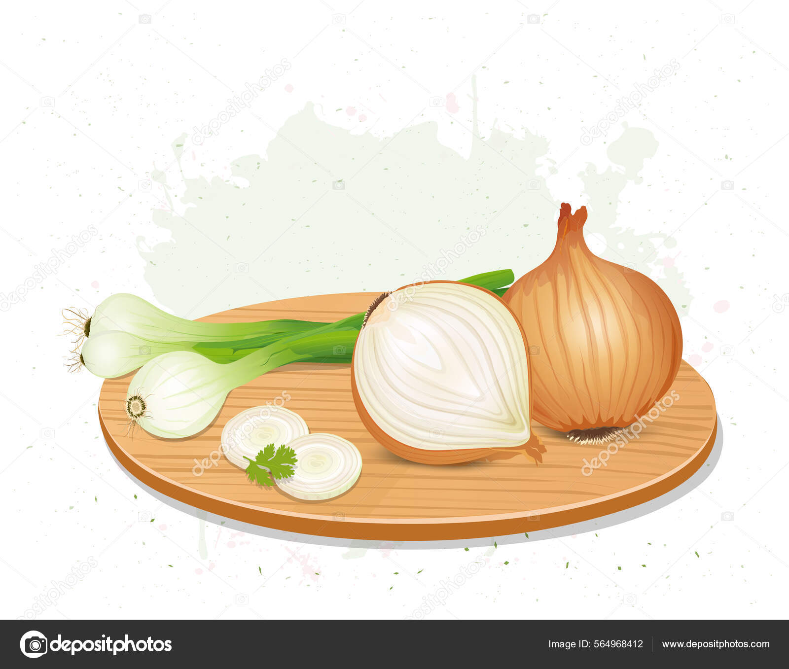 Vegetal Cebolla Verde Con Ilustración Vectorial Cebollas Rojas Claras ...