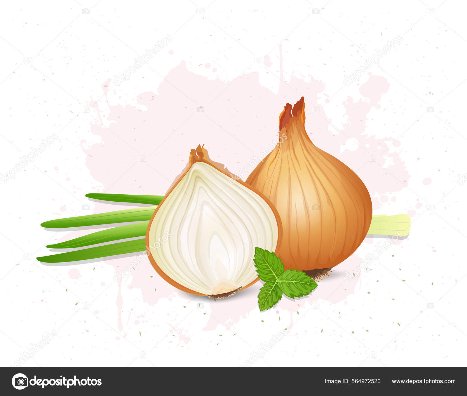 Yellow Onion Root Vegetable Vector Illustration Half Onion Green Onion ...