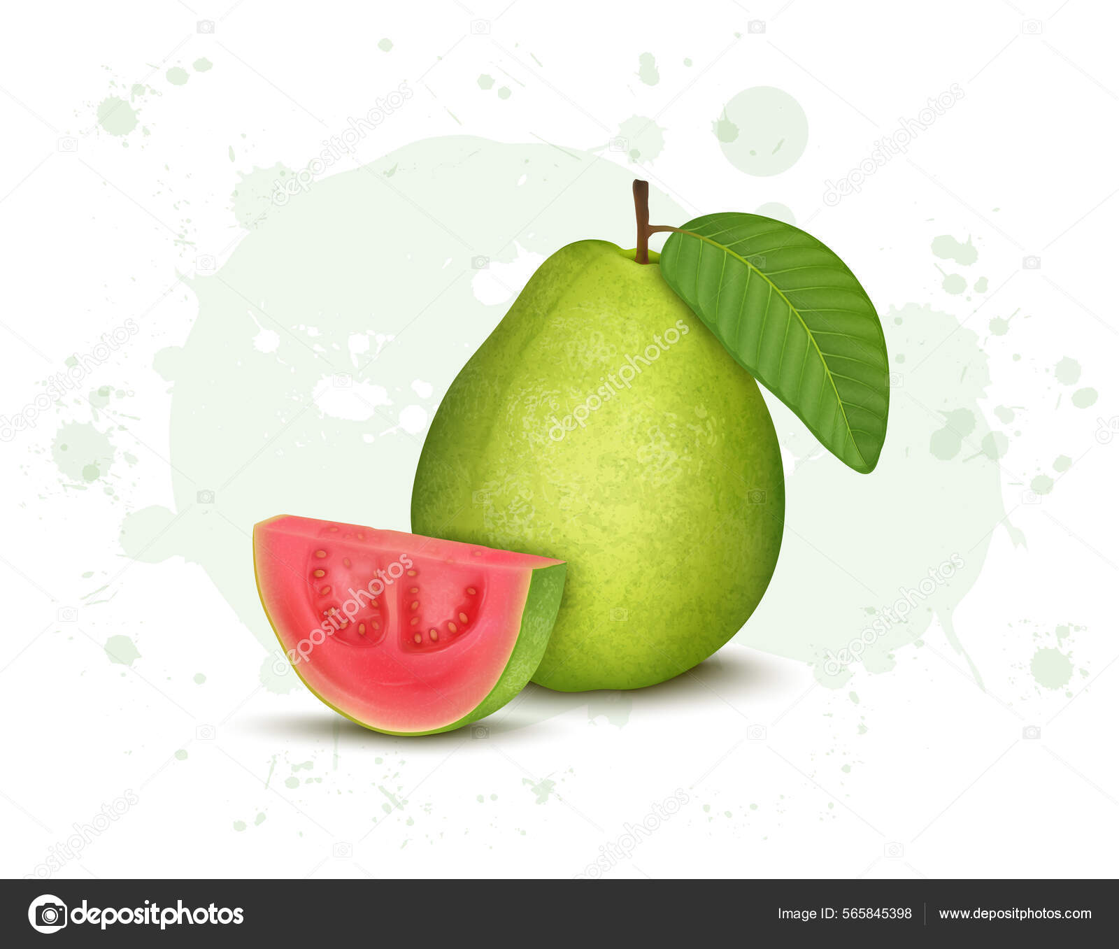 Fresh Green Guava Fruit Vector Illustration Guava Pink Slices Green ...