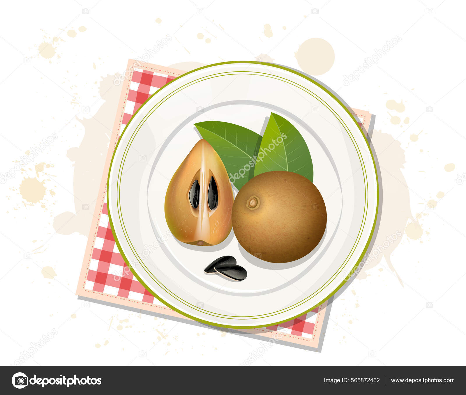 Sapodilla Fruit Drawing