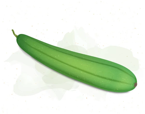 Water Green Coconut Fruit Vector Illustration Stock Vector Image by ...