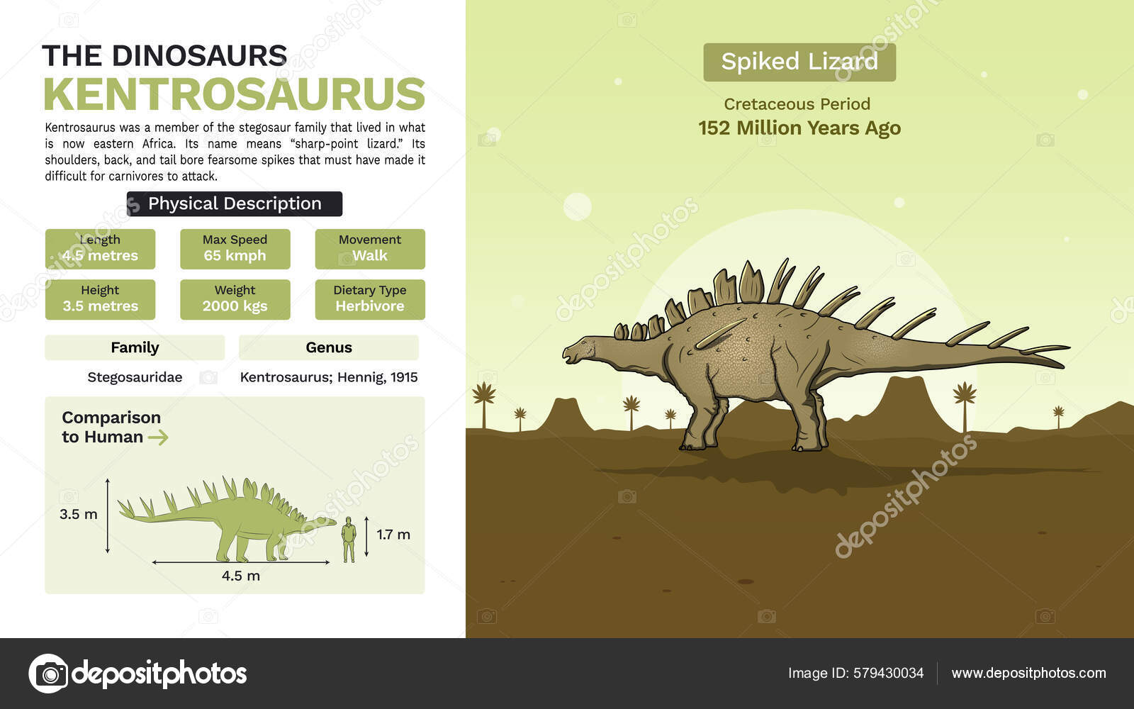 Kentrosaurus Height