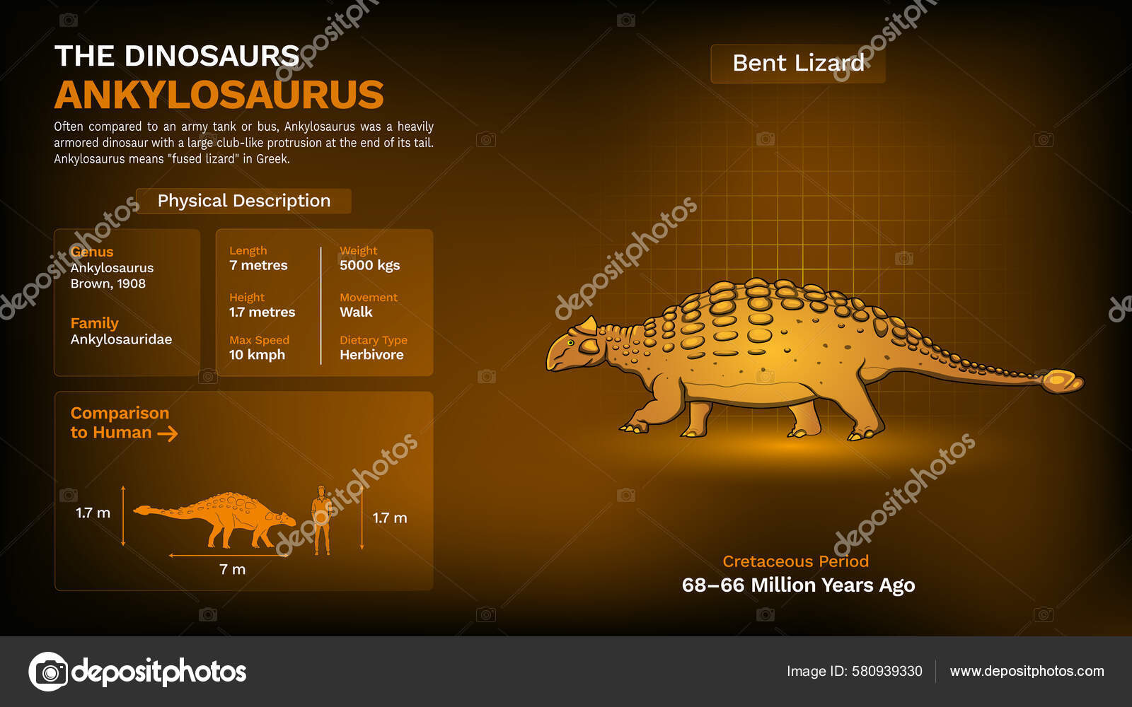 Description Physical Characteristics Ankylosaurus Vector Illustration ...