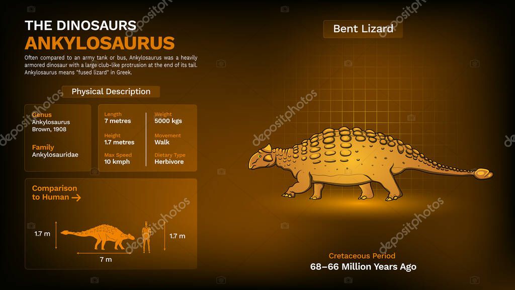 Descripción y Características Físicas de la Ilustración Ankylosaurus ...