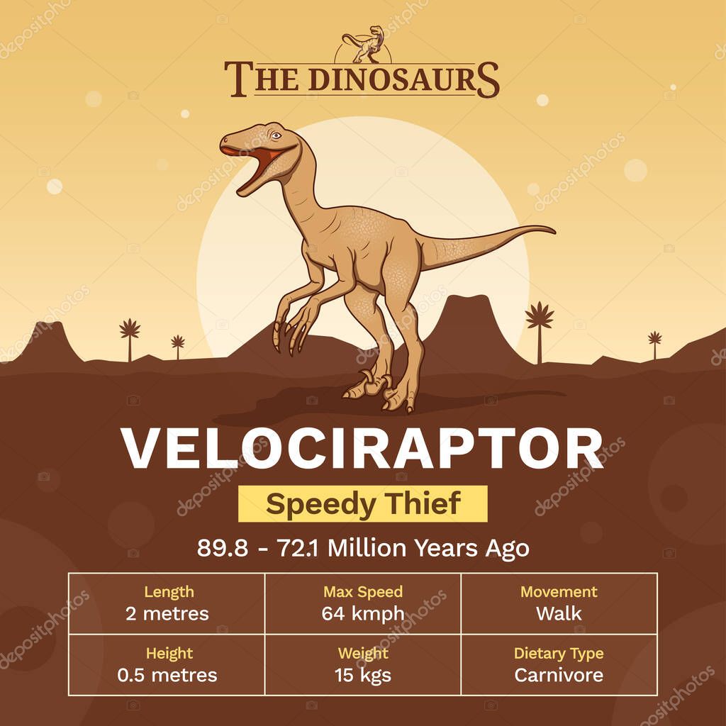 Descripción y características físicas de Velociraptor - Ilustración ...