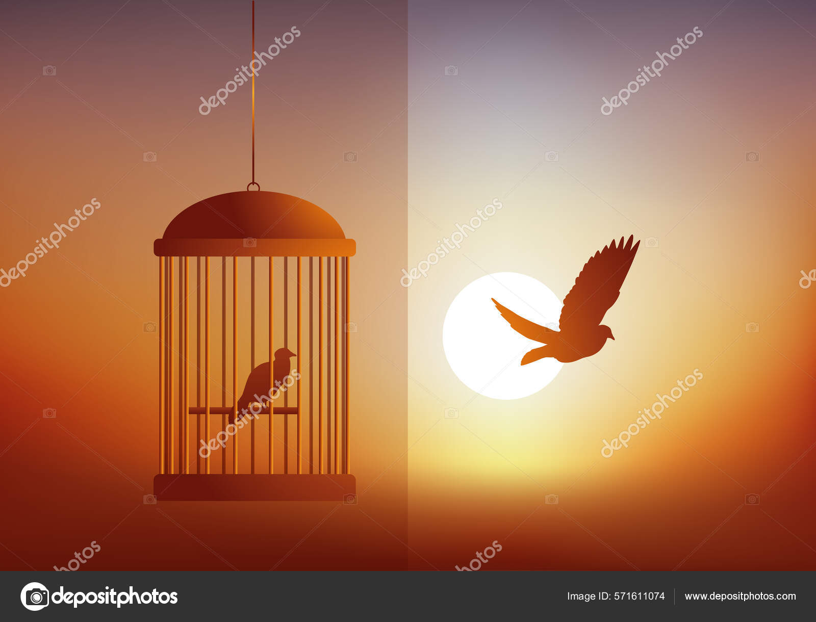 Bird Freedom From Cage