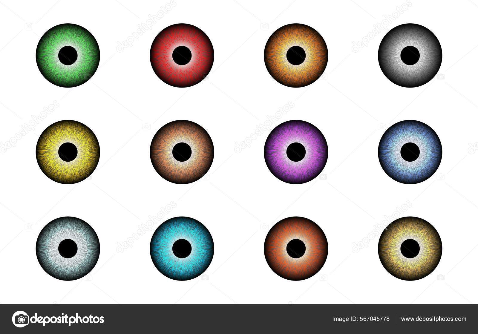 Eye Balls Different Eyes Set Various Colors — Stock Photo © sonali.tanu ...