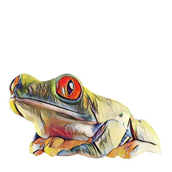 Rana de oficina fotos de stock, imágenes de Rana de oficina sin ...