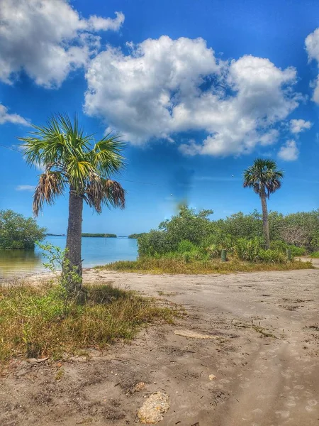Florida scenery Stock Photos, Royalty Free Florida scenery Images ...