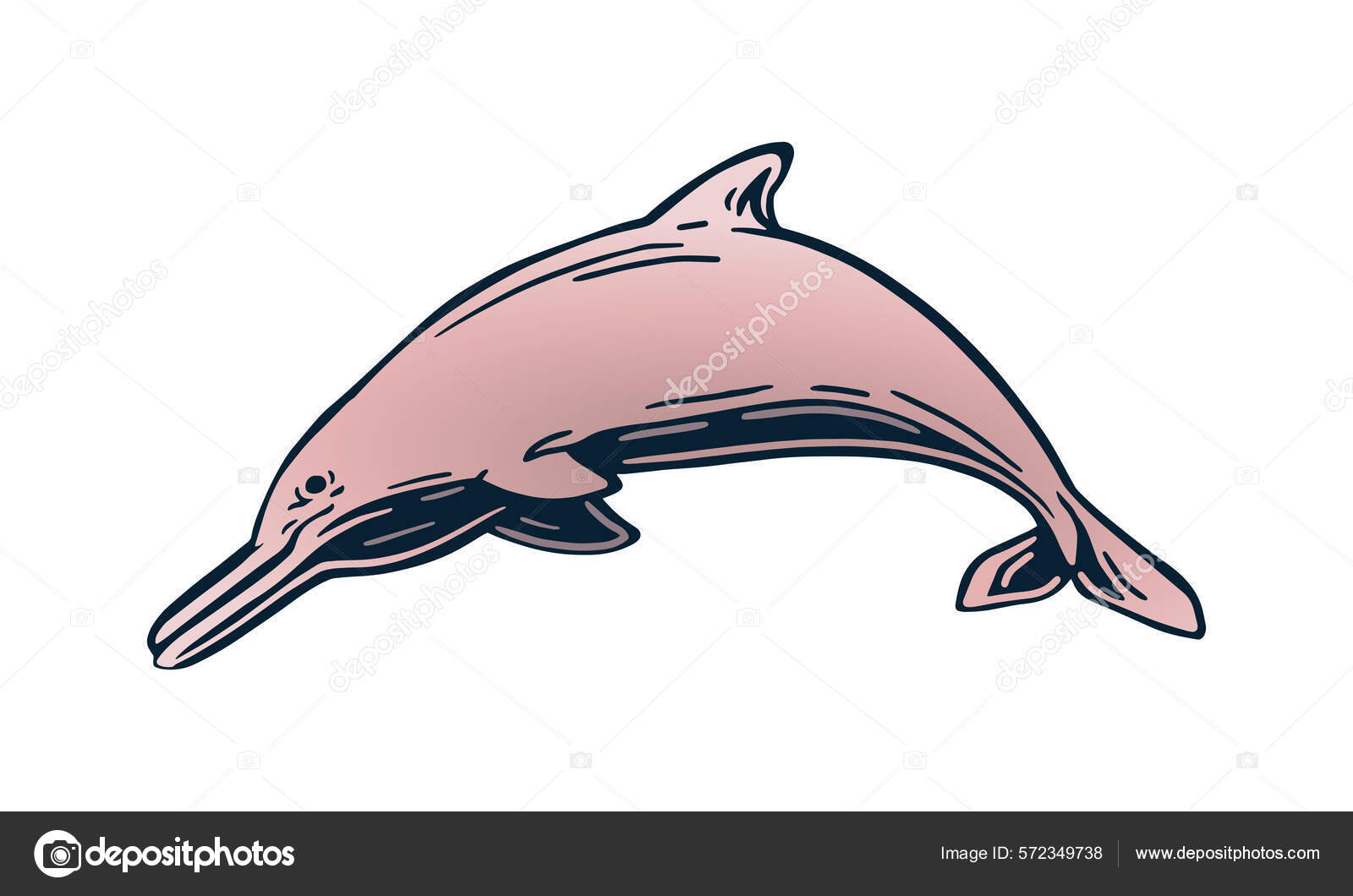 Ganges River Dolphin Light Background Vector Illustration Logo Sign ...