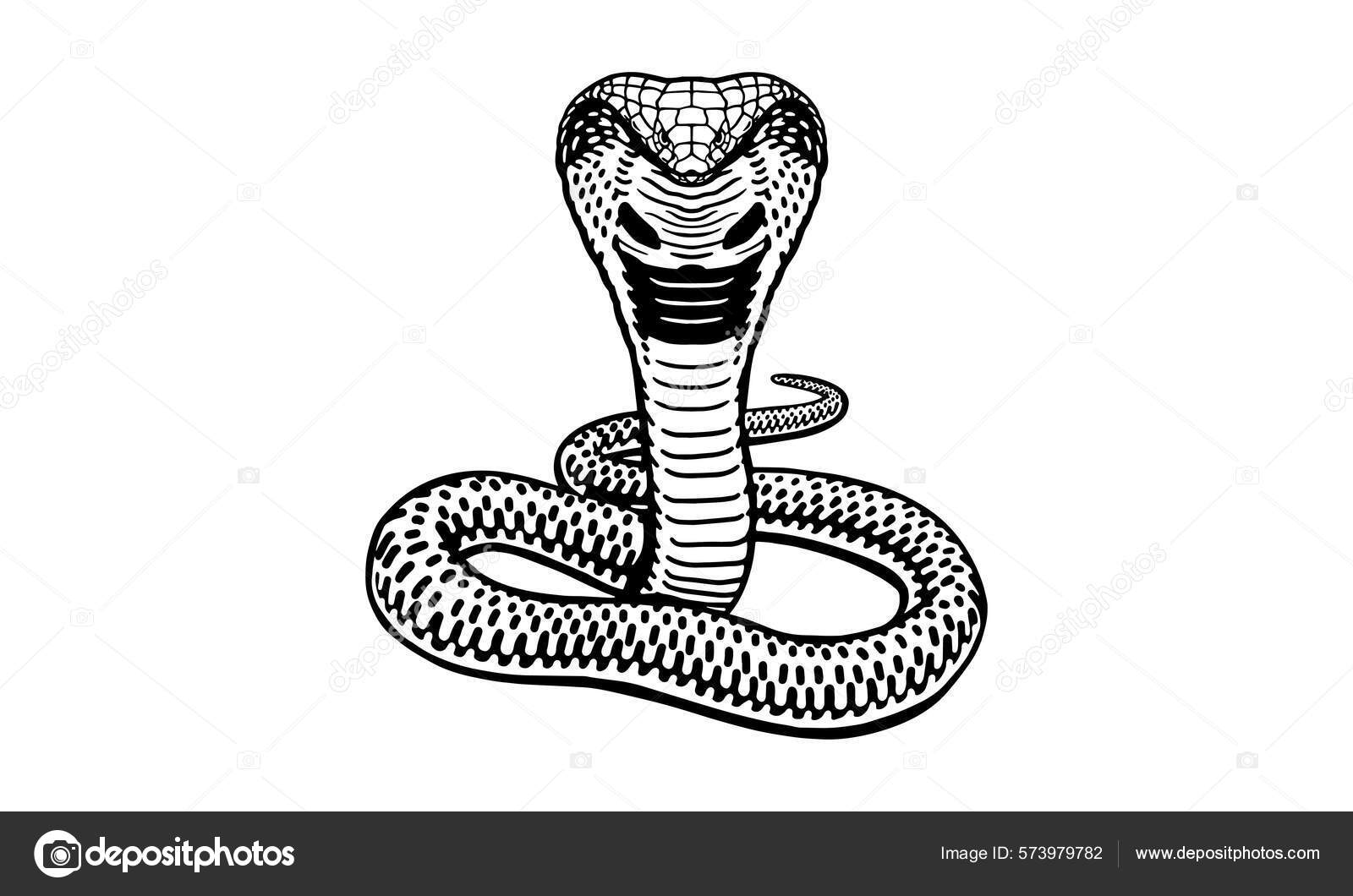 King Cobra White Background Vector Illustration Logo Sign Emblem Stock ...