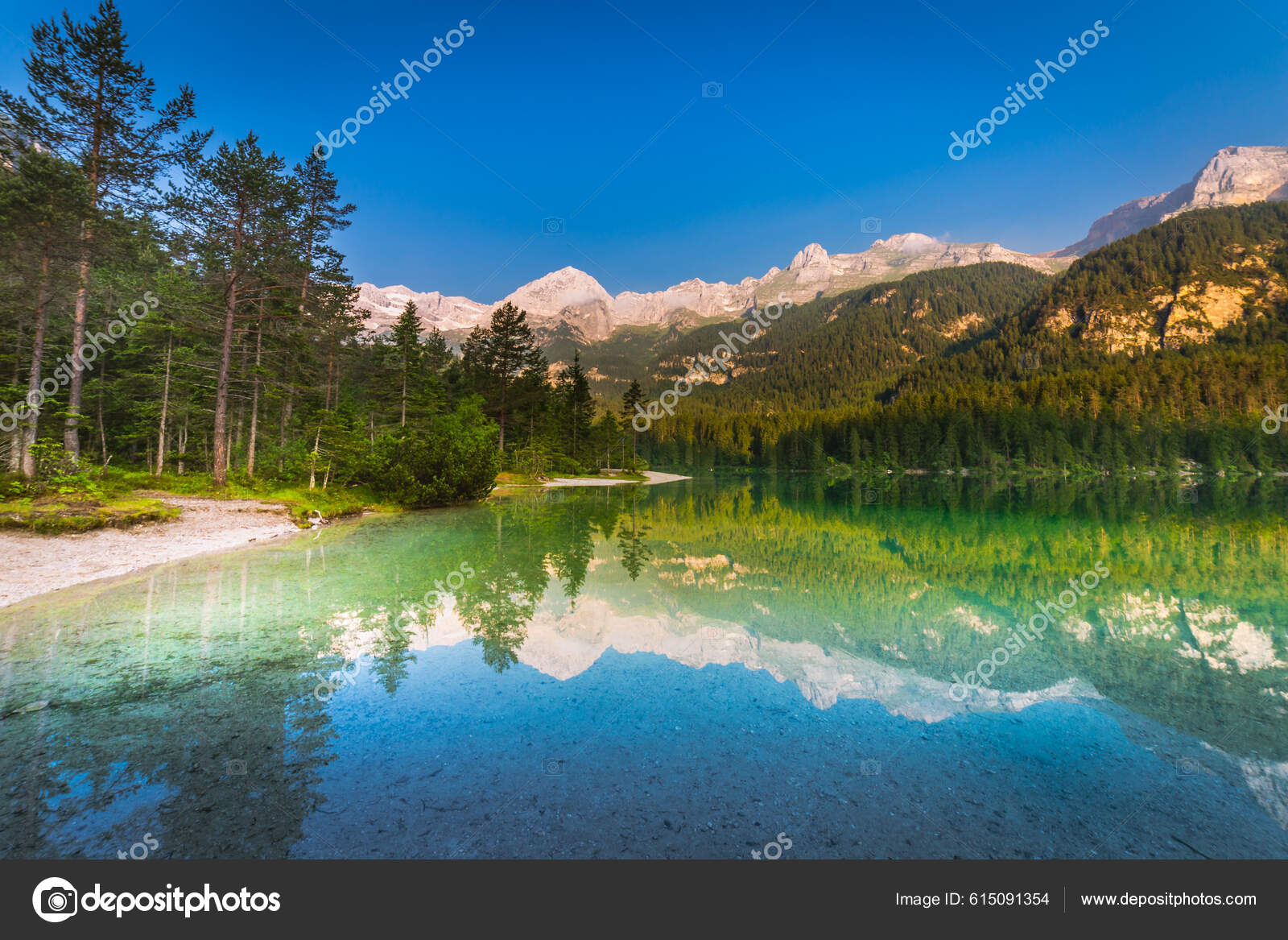 Reflectional Symmetry In Nature