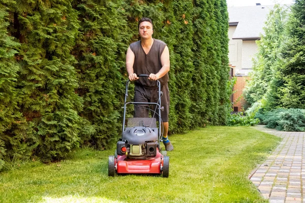 handsome man is cutting the lawn, process to cut the grass at the yard ...