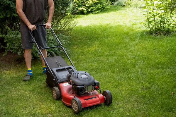 handsome man is cutting the lawn, process to cut the grass at the yard ...