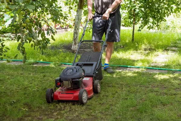 handsome man is cutting the lawn, process to cut the grass at the yard ...