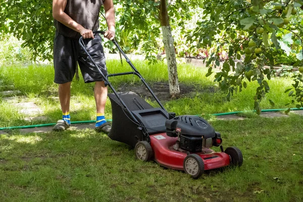 handsome man is cutting the lawn, process to cut the grass at the yard ...