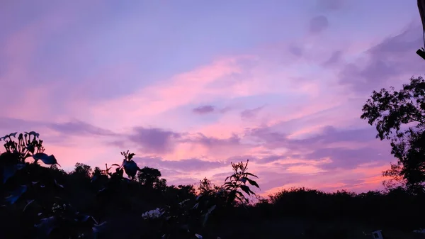 Purple Tumblr Photography