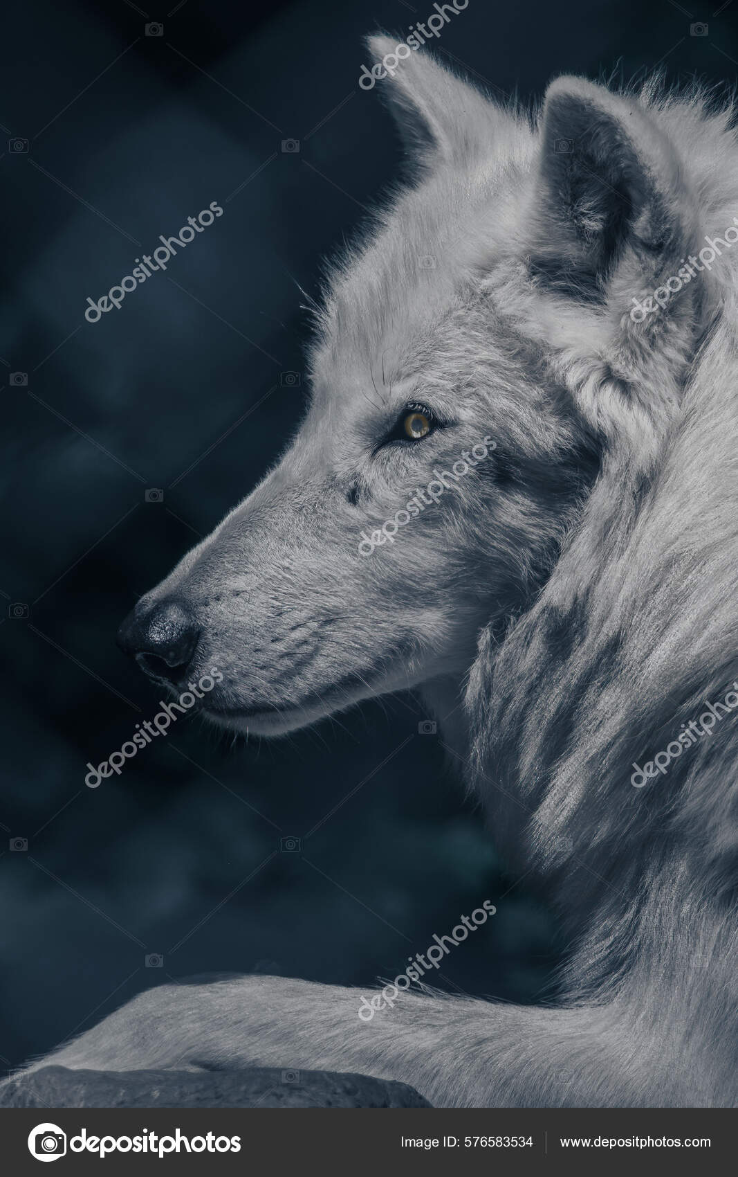 Vertical Grayscale Dramatic Shot White Wolf Face — Stock Photo ...