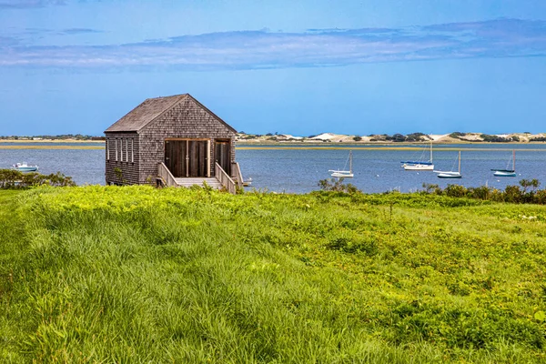 Beautiful Shot Plants Grass Fields Trees Cape Cod Seaside Bench — Stock ...