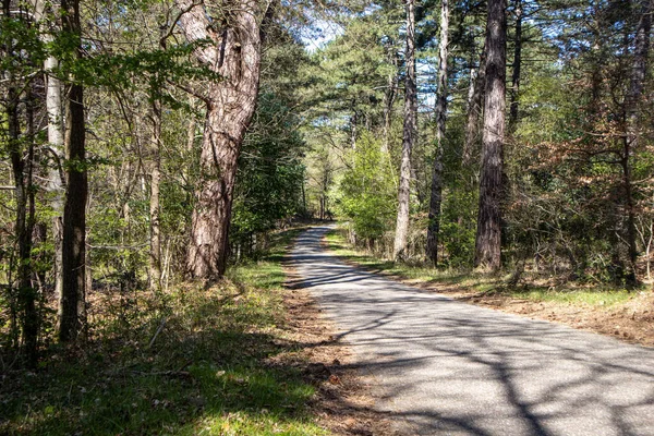 Park trail system Stock Photos, Royalty Free Park trail system Images ...