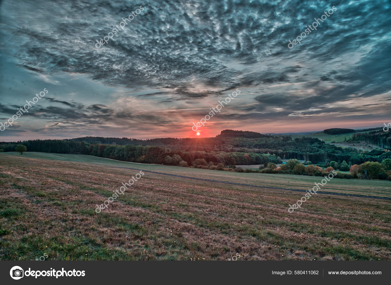 Early Evening Sky In Woods